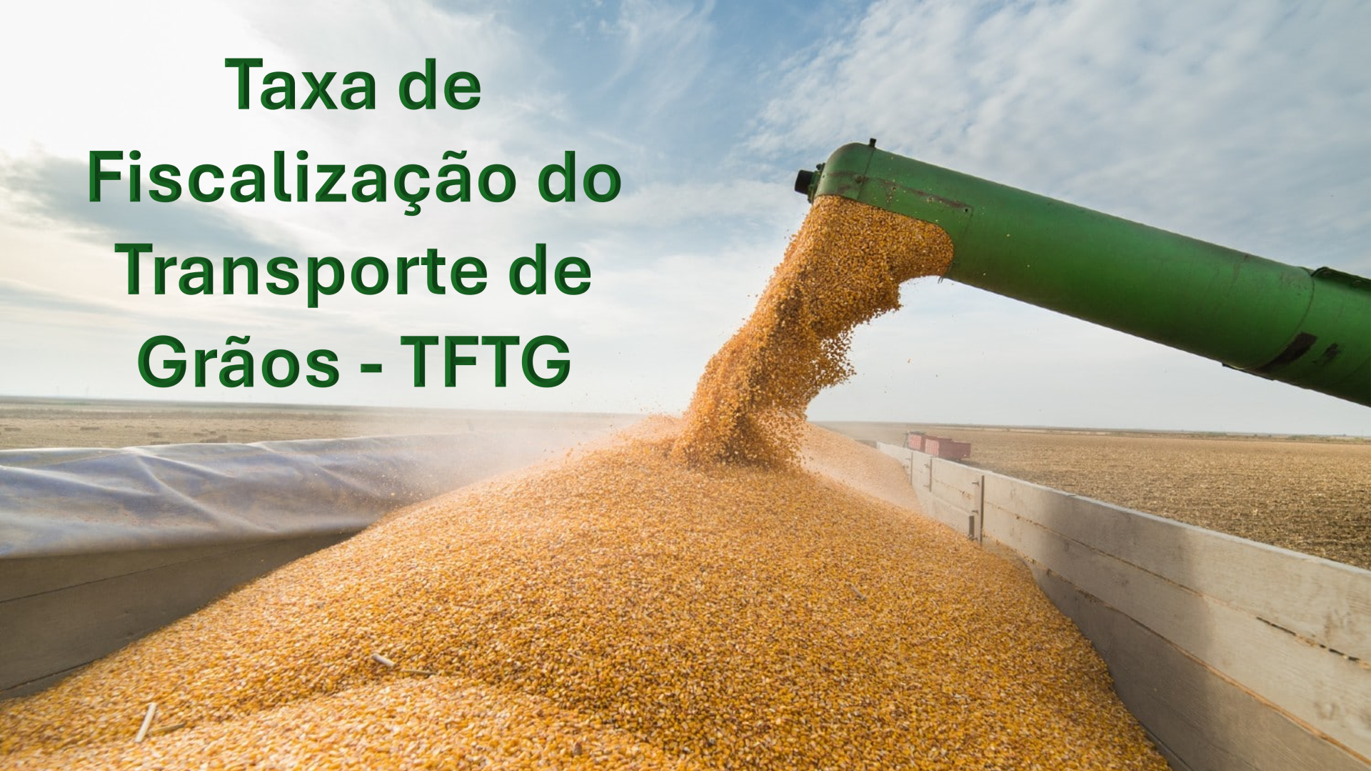 Novos valores de referência trazem economia no pagamento da TFTG no ...