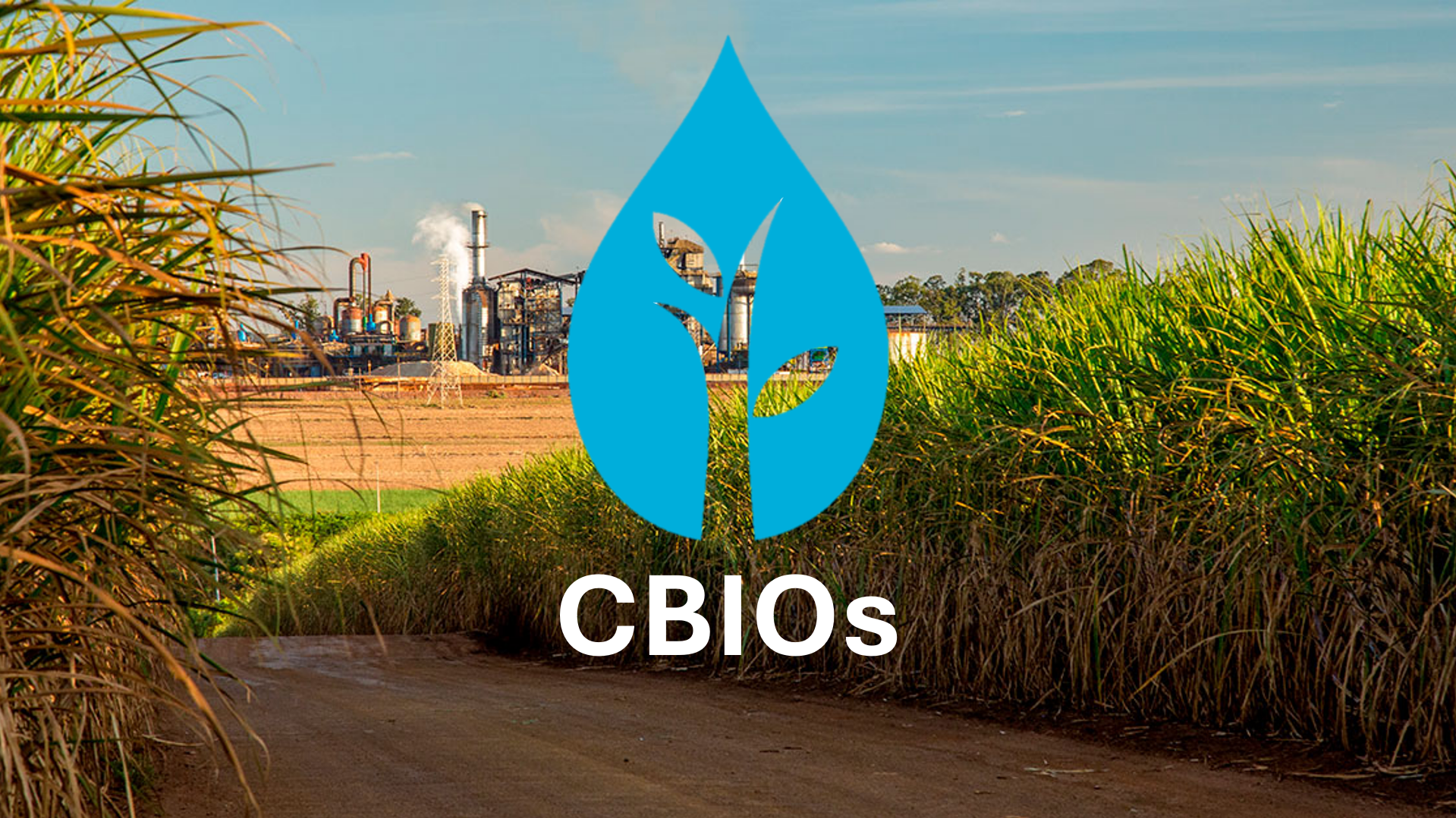 CPC orienta sobre as melhores práticas para o reconhecimento do CBIOS ...